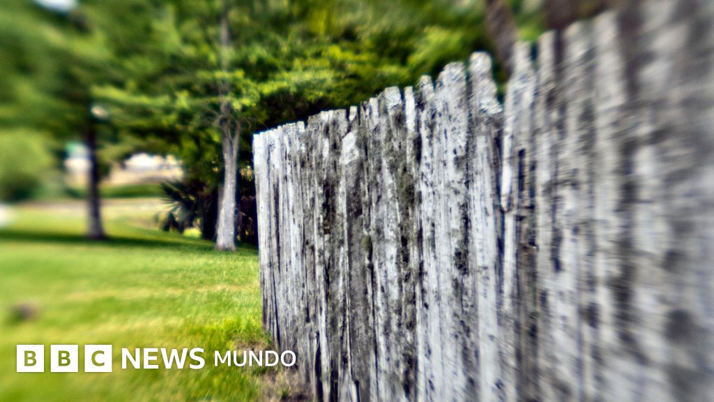 La cerca de Chesterton, el principio que te obliga a pensar dos veces ...