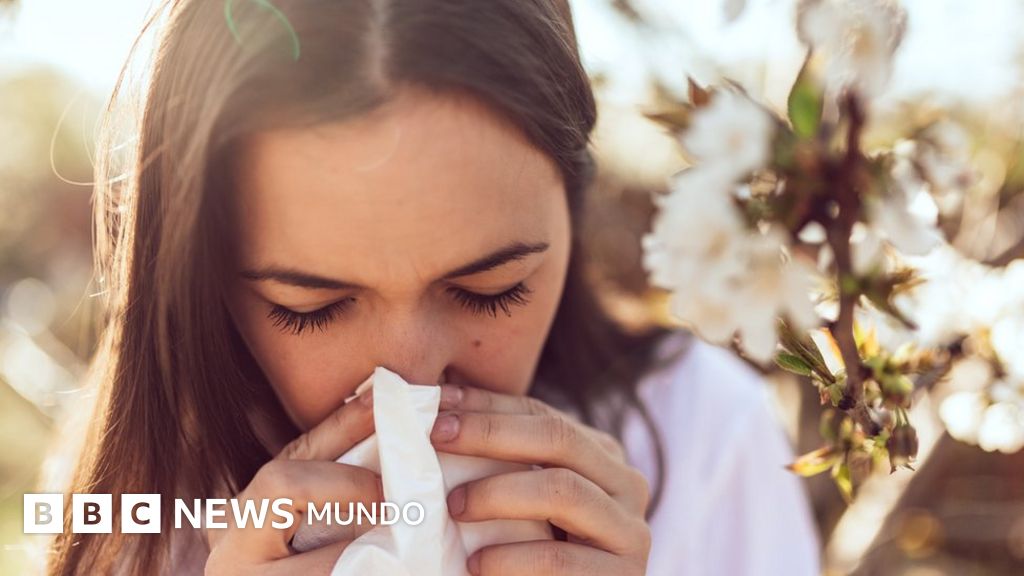 Coronavirus: ¿por qué con algunas enfermedades desarrollamos inmunidad ...