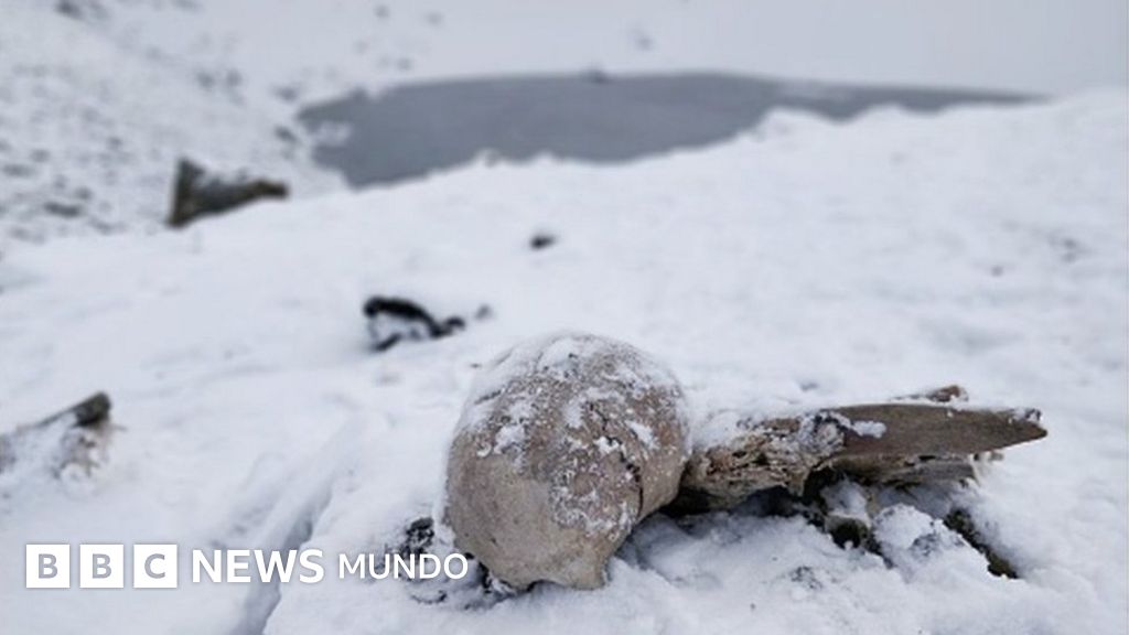El misterio del "lago de los esqueletos" de India - BBC News Mundo