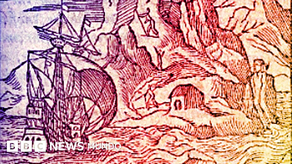 Cuál fue la peculiar criatura de América que cautivó a los europeos del ...