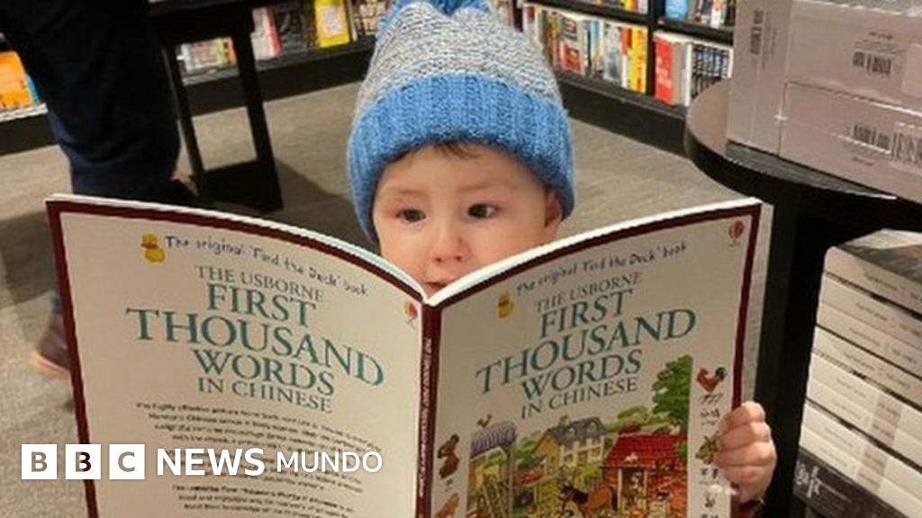Qué es Mensa, la organización de superdotados en la que ingresó un niño ...