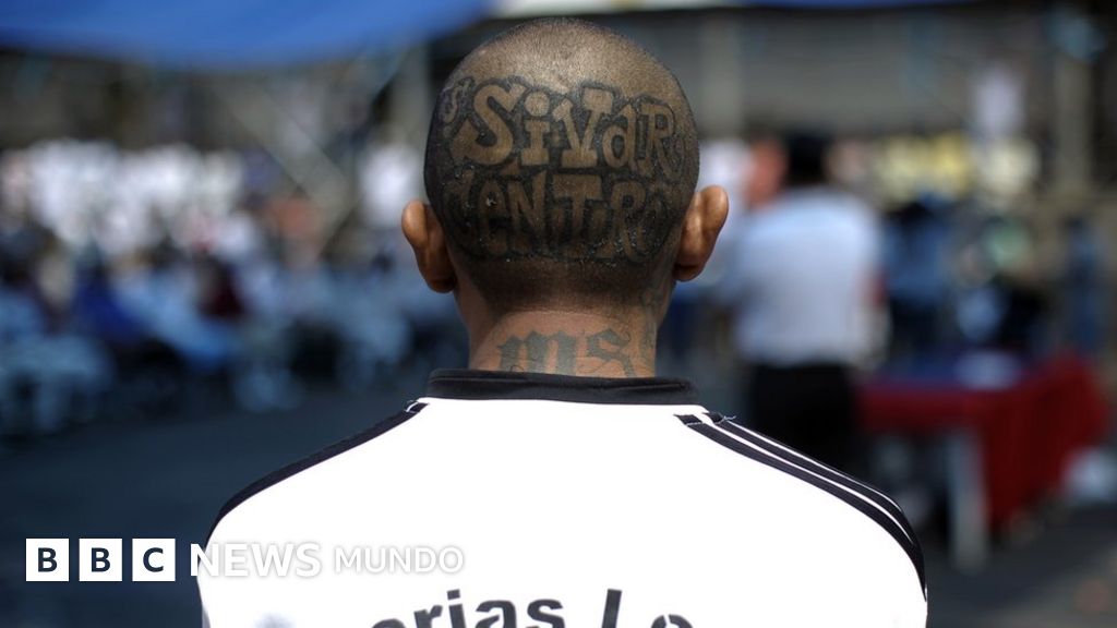 "Son más duros que cualquier persona que hayas conocido": la expansión ...