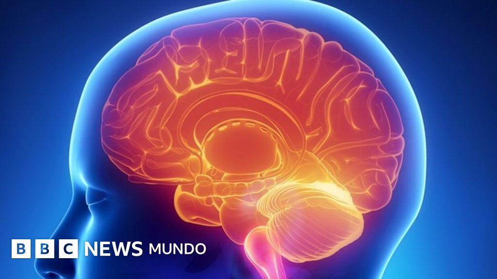 El fascinante estudio que reescribe lo que sabemos sobre cómo el ...