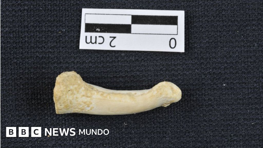 Homo luzonensis: descubren una nueva especie humana en la isla de Luzón ...