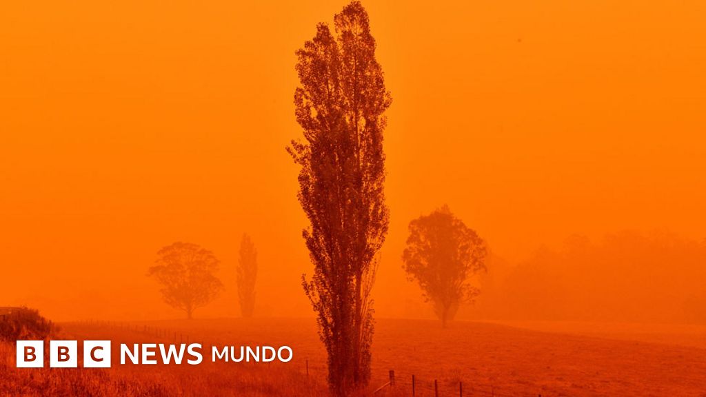 Incendios en Australia: la intensa batalla para combatir el ...