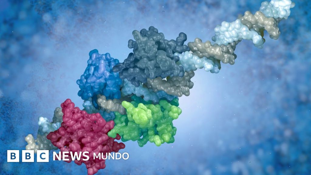 Cómo los virus nos han ayudado a convertirnos en lo que somos hoy - BBC ...