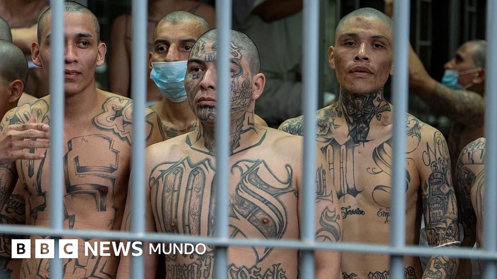 MS-13 y Barrio 18: qué queda de las maras en El Salvador después de más ...