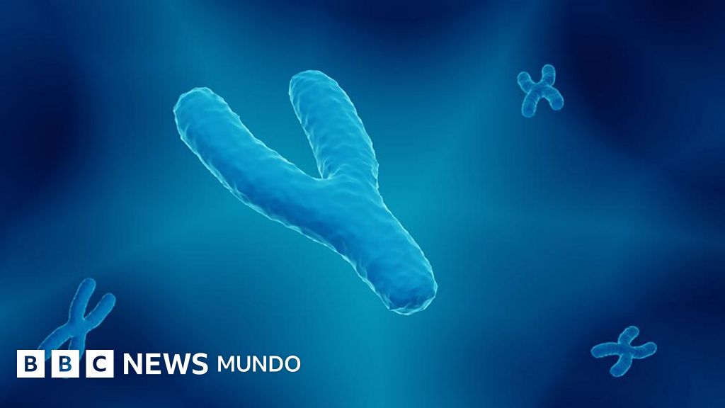 Qué revela sobre la genética de los hombres la primera secuencia completa del “extraño ...
