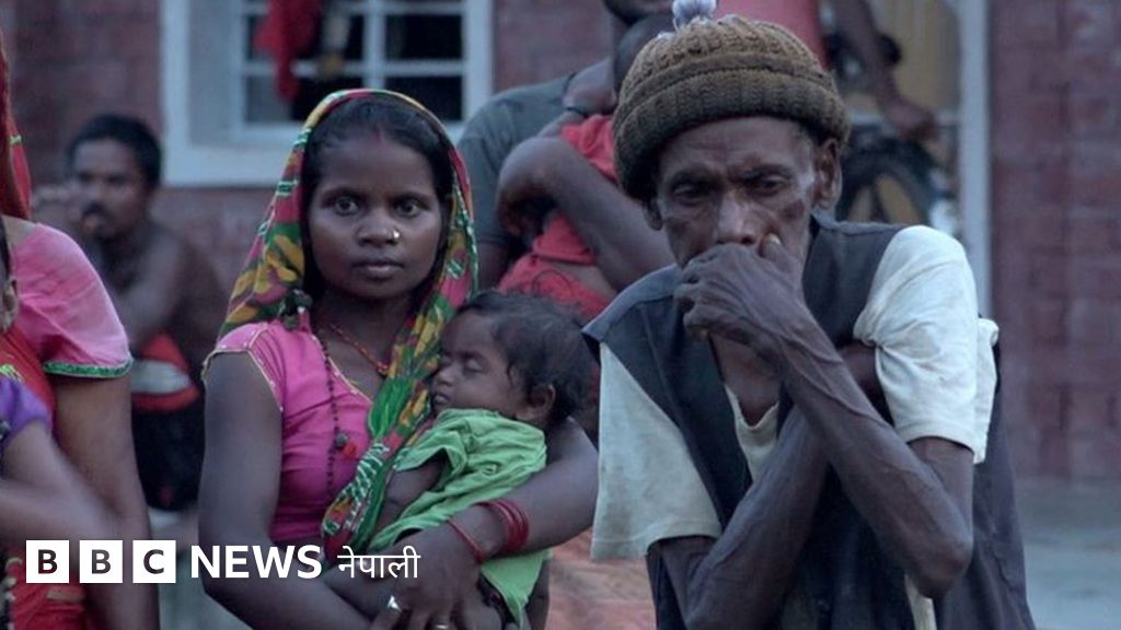 बाढी: सप्तकोशी र त्रियुगानजिकै रहेको बस्तीबाट मुसहर समुदाय विस्थापित ...