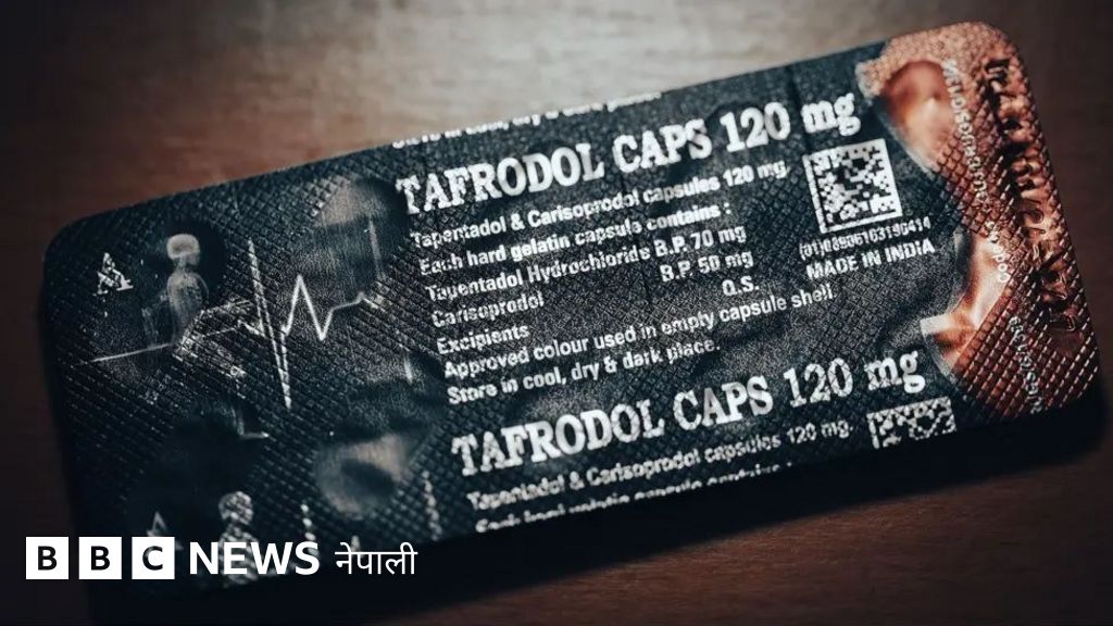 Magh 2080 - Nepali Calendar 2082 | Nepal Patro | Today’s date