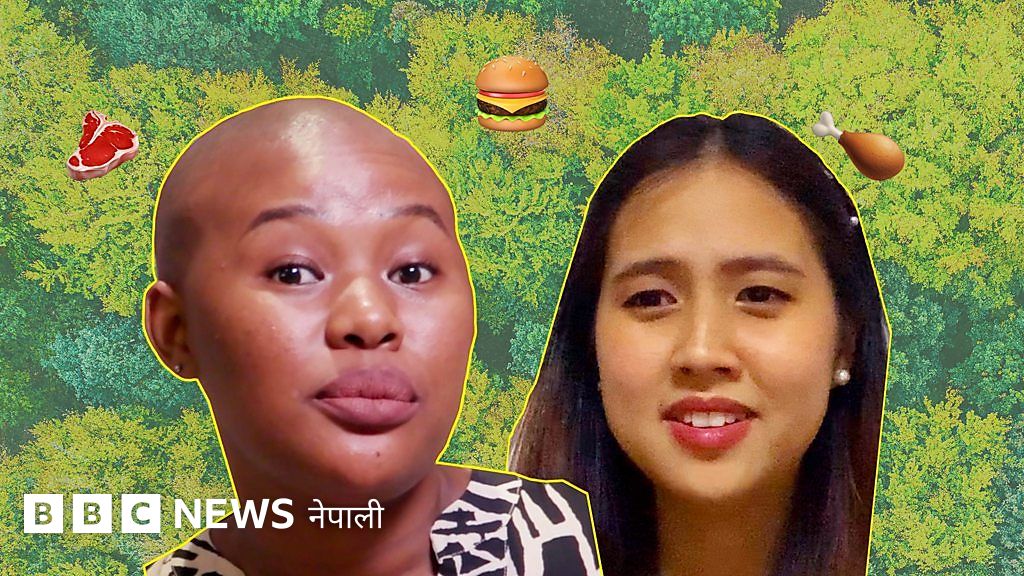 प्रयोगशालामा उत्पादित मासुः पर्यावरणलाई राम्रो गर्ला त? - BBC News नेपाली