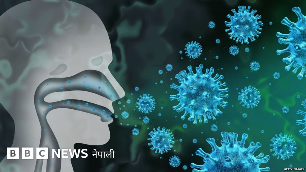 कोरोना भाइरसः रुघाले कसरी मानव शरीरका कोषबाट कोभिड गराउने विषाणुलाई ...