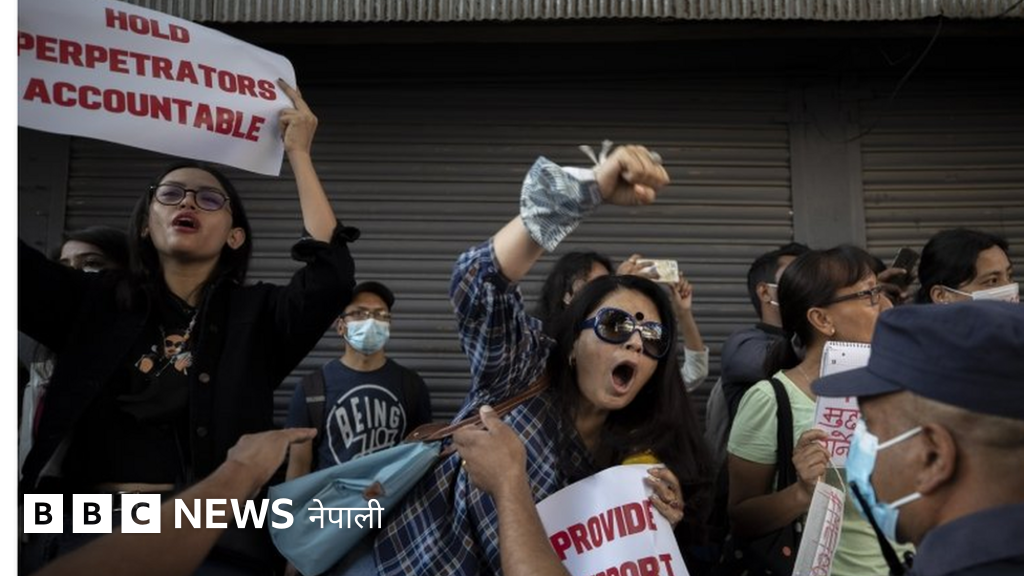 सामाजिक सञ्जाल: हिंसा पीडित बोल्ने माध्यम बन्दै फेसबुक, ट्विटर र टिकटक ...