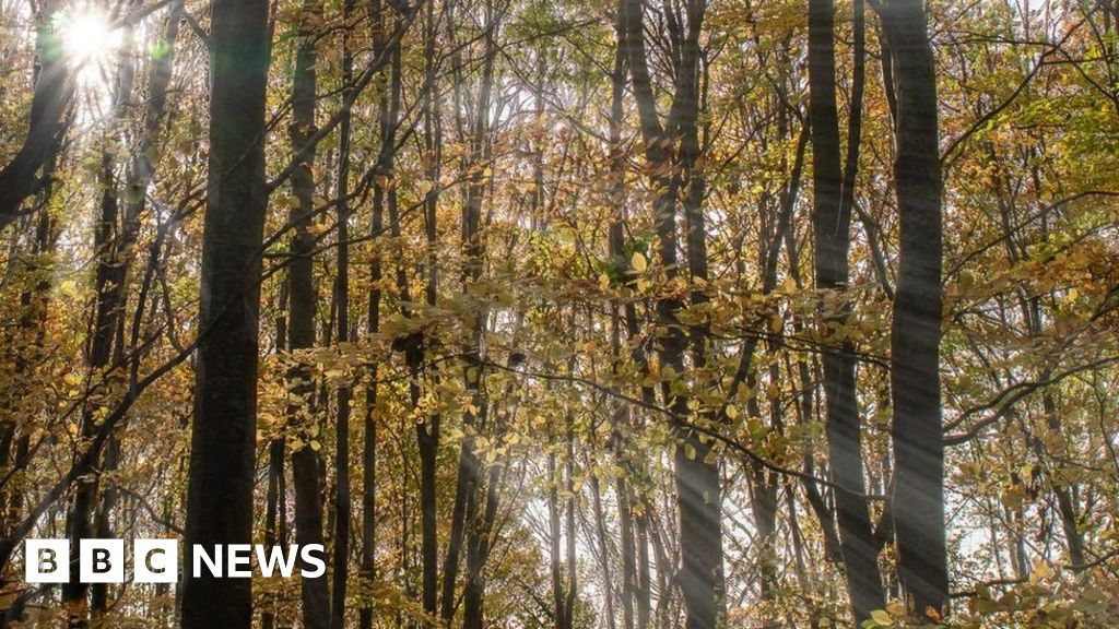 England's Big Picture: 6 November - 12 November 2023 - BBC News