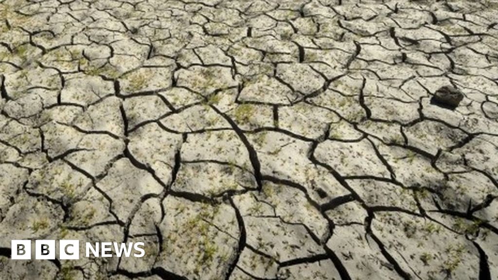 COP21: 'Conditions never better' for climate change deal - BBC News
