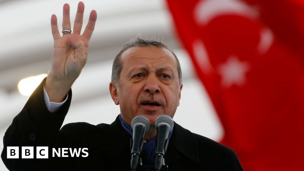 Turkey cafe boss held for Erdogan 'tea insult' - BBC News