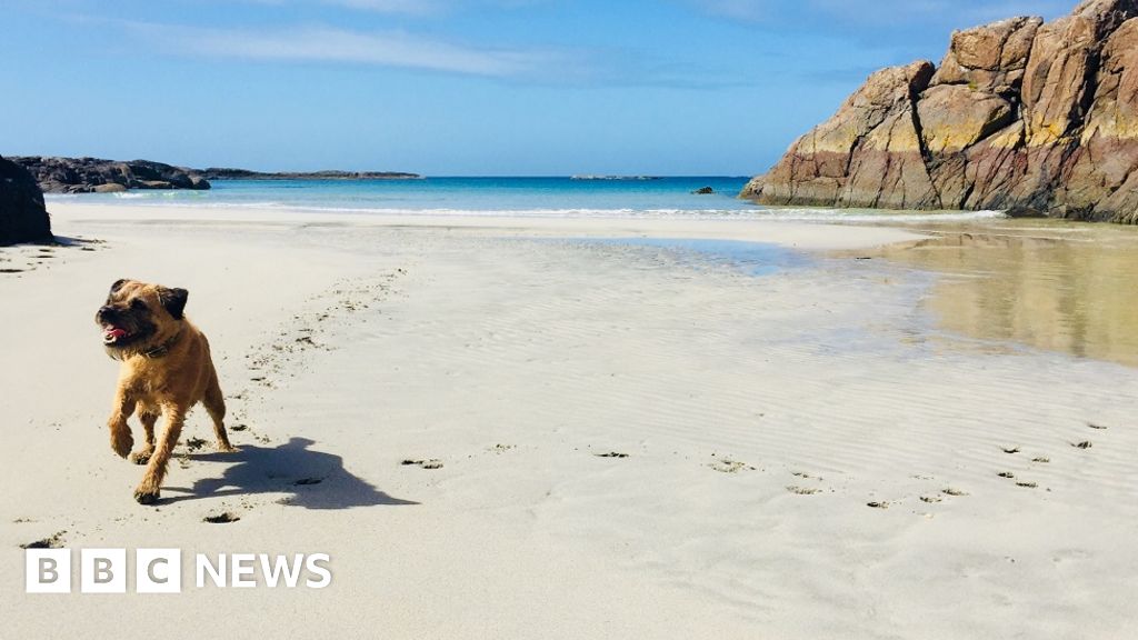Your pictures of Scotland: 1-8 June - BBC News