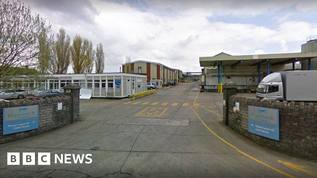 Greencore's Evercreech factory jobs could be at risk - BBC News