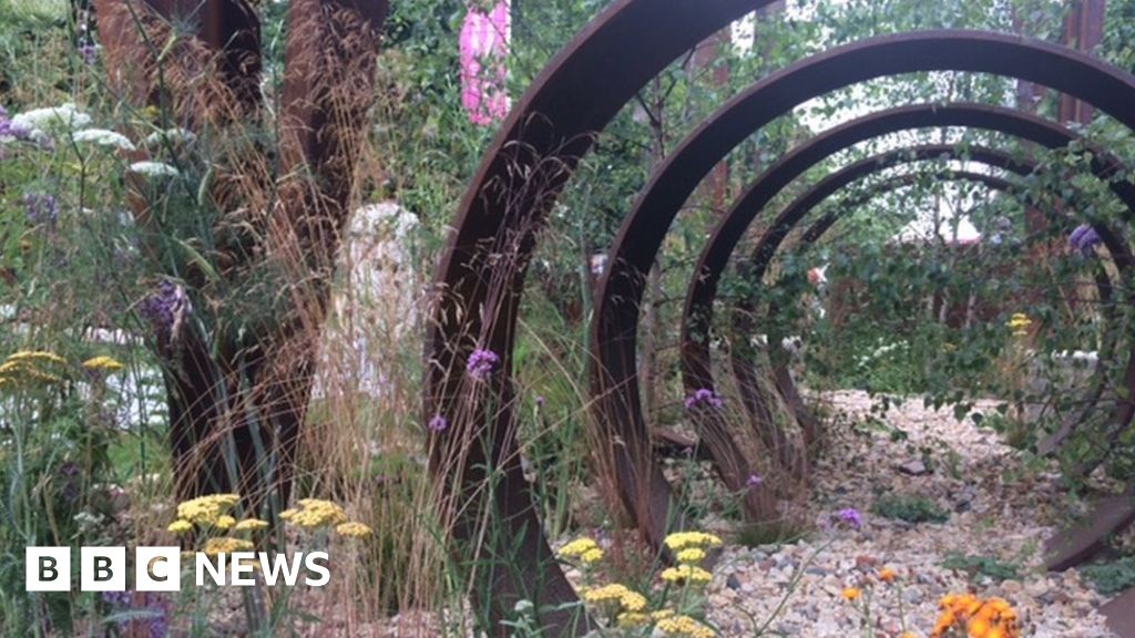 Bringing nature into your backyard - BBC News