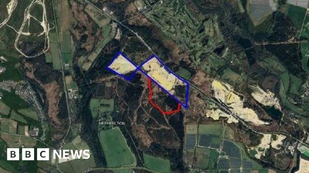 Owners of Hyde Pit near Wareham consider extending site into wood