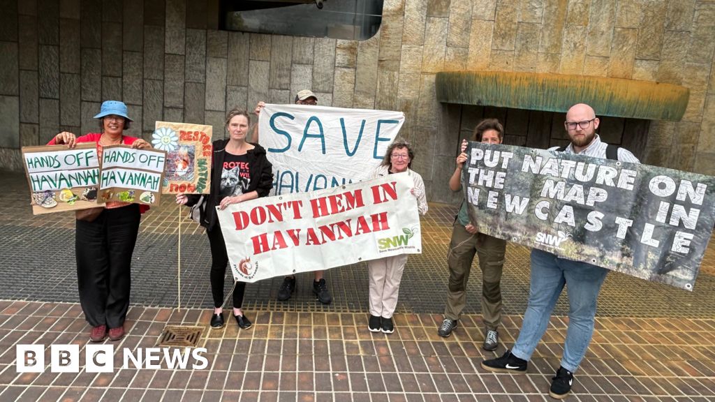 Path and lights to be built through Newcastle nature reserve - BBC News
