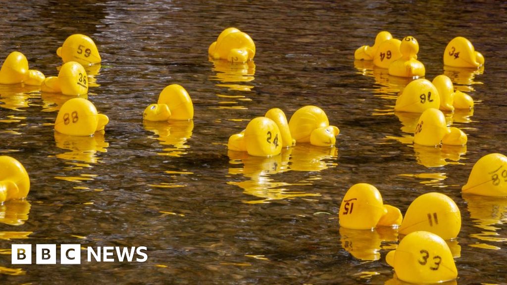 Disappointment as Kenilworth duck race cancelled