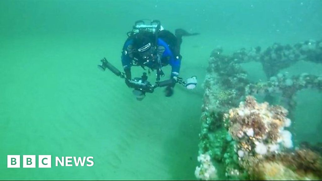 Diver describes exploration of NI shipwreck