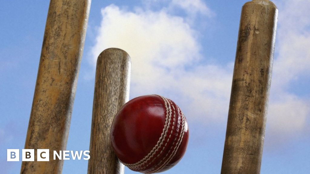 Minehead new homes to be protected from stray cricket balls - BBC News