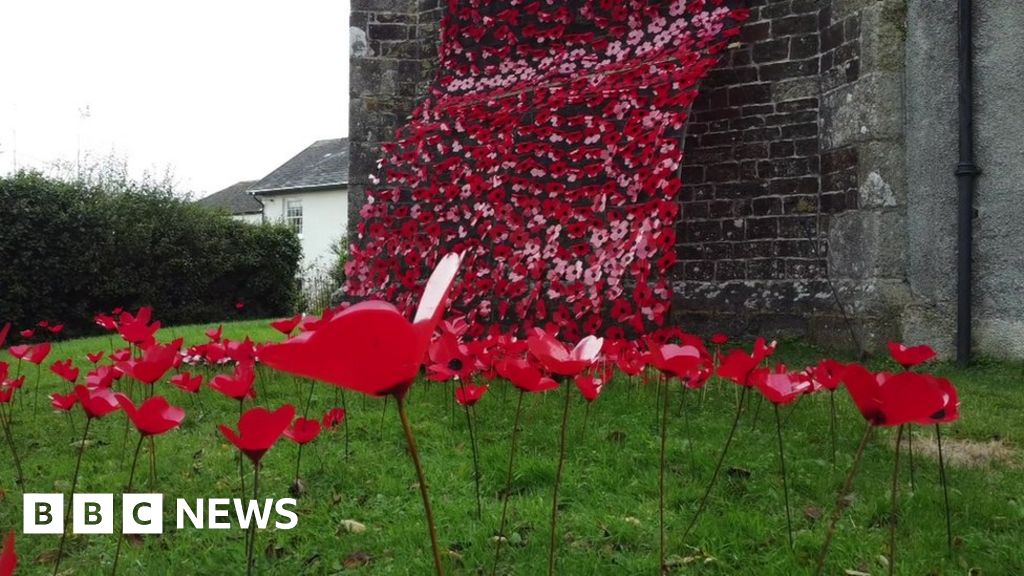 Dowland poppy cascade in memory of three WW1 soldiers - BBC News