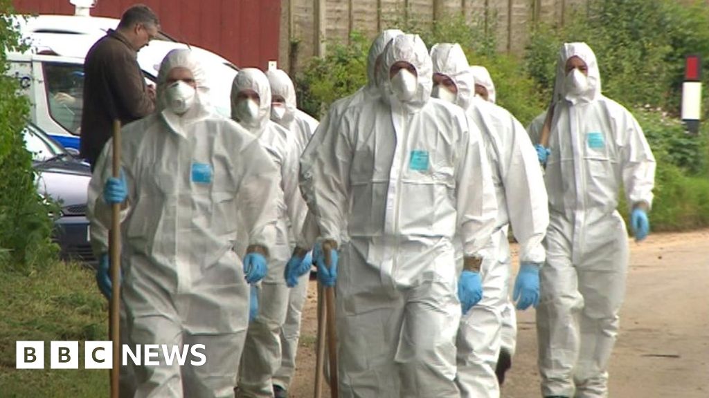 Man arrested over body found in woodland - BBC News