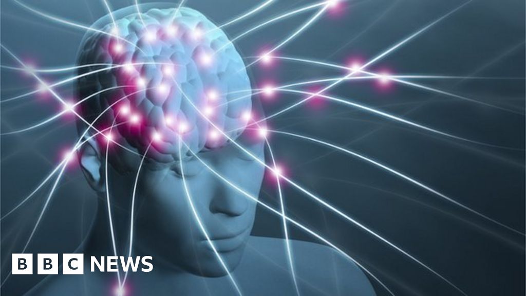 Too good to be forgotten - why institutional memory matters - BBC News