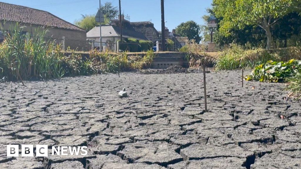 Barton villagers rescue 700 fish from dried-up pond - BBC News