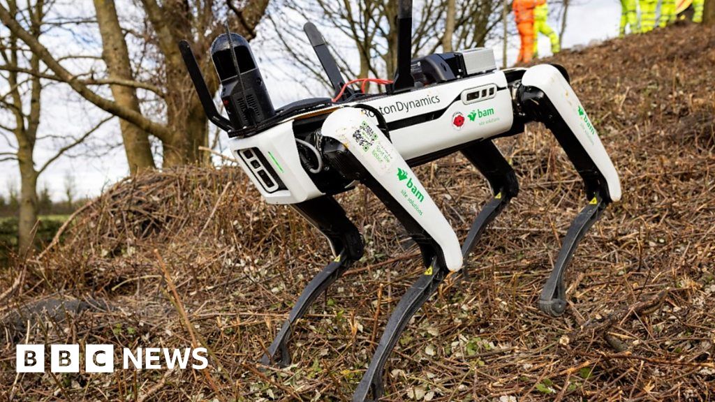 Somerset roads to be inspected by robotic dog