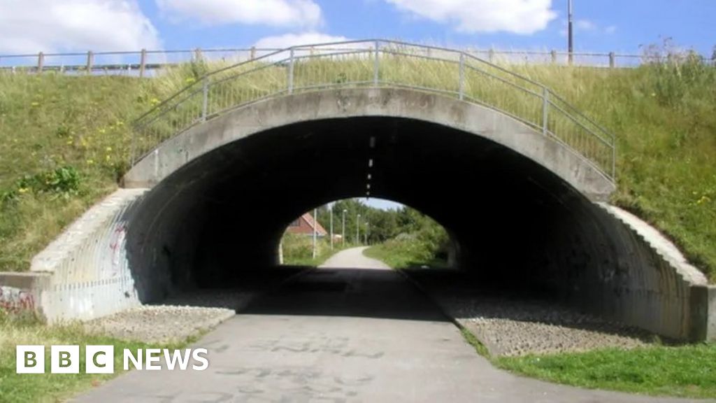 Hull Marfleet Lane flyover strengthening work delayed - BBC News