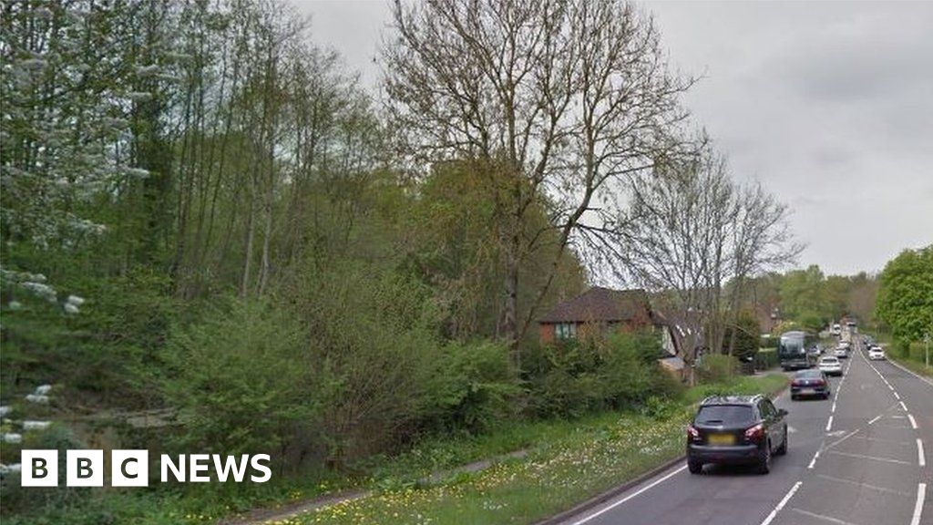 East Sussex crash: Man dies as car lands in Forest Row ditch - BBC News