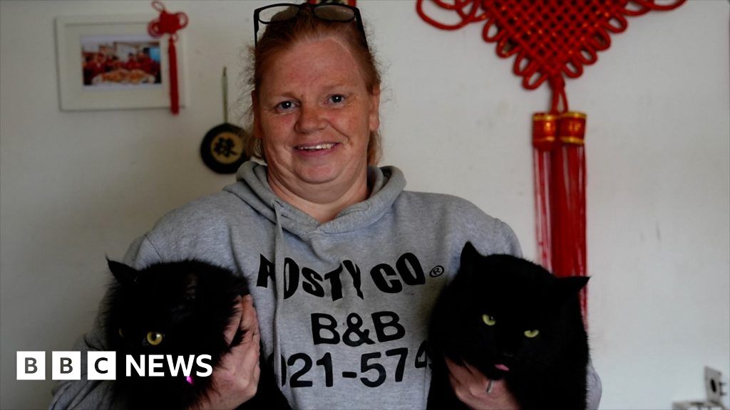 Pet owner relies on charity food bank to feed her cats - BBC News