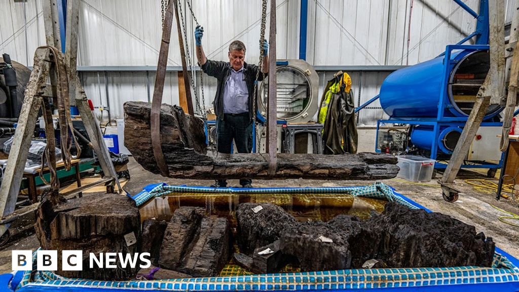 Tetney Golf Club Bronze Age coffin to be displayed - BBC News