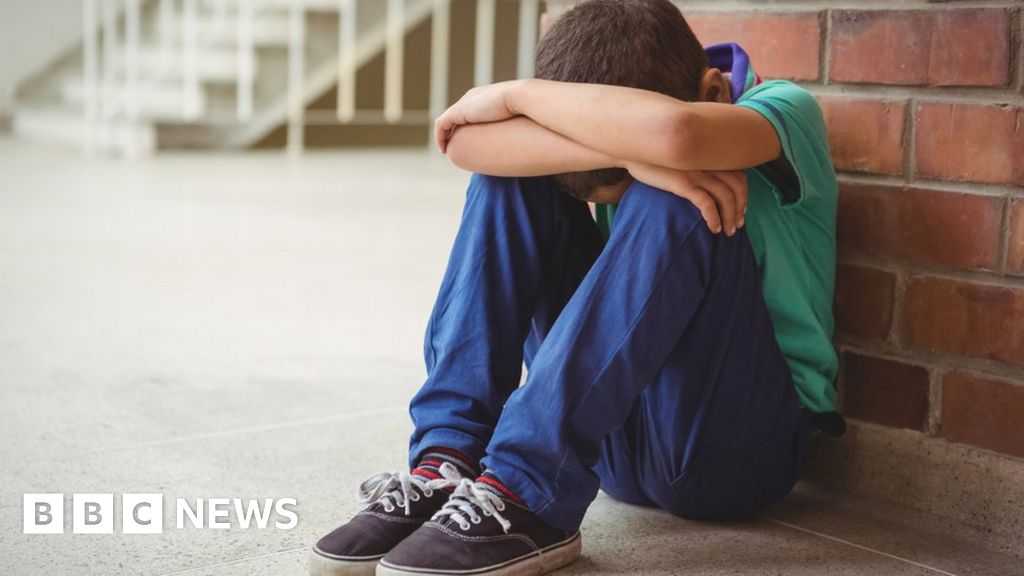 Court service calls for improvements to child witness interviews - BBC News