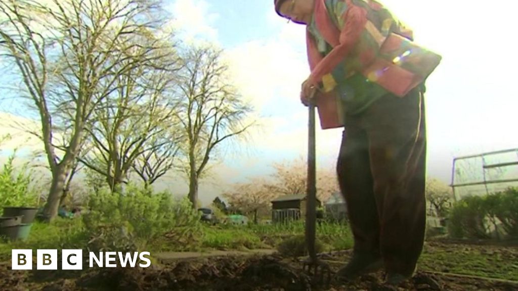 Digging for victory in Birmingham allotments battle