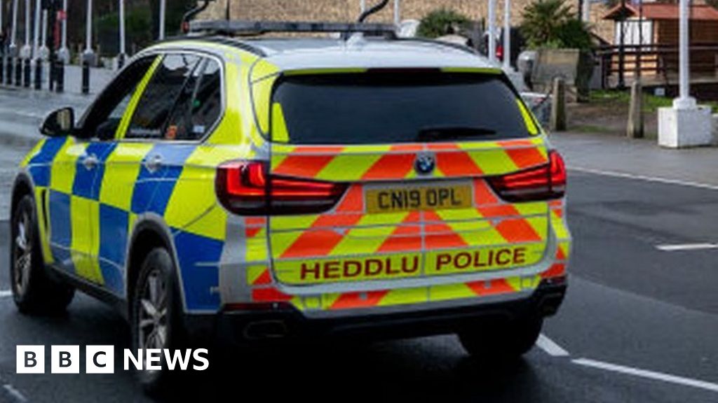 Cardiff three arrested over woman's 'false imprisonment' - BBC News