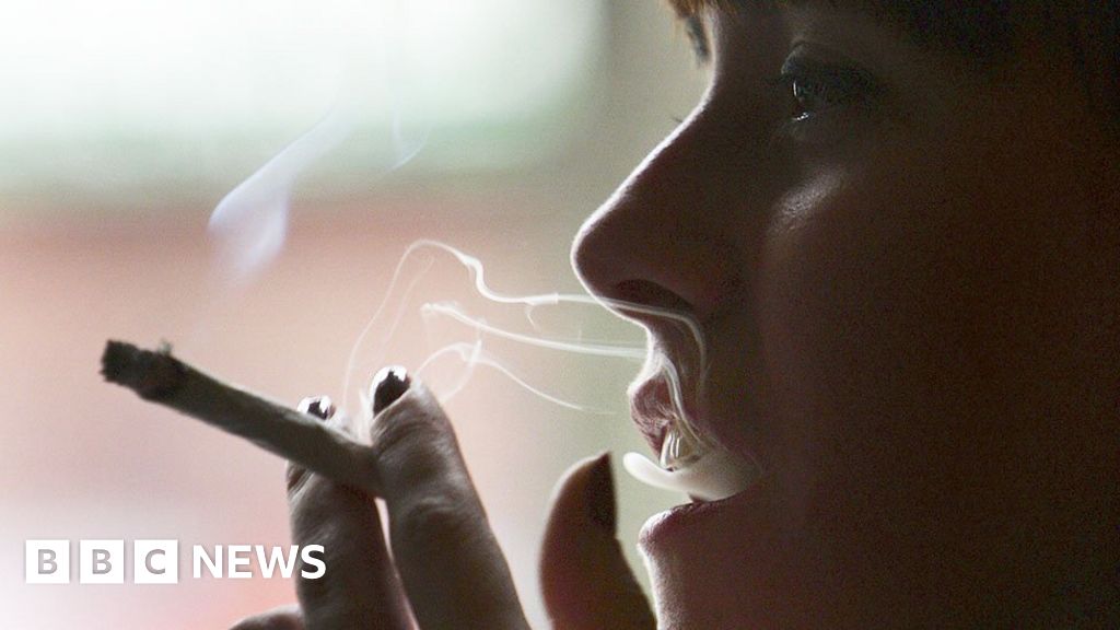 Calls for widespread survey into British cannabis after findings in ...