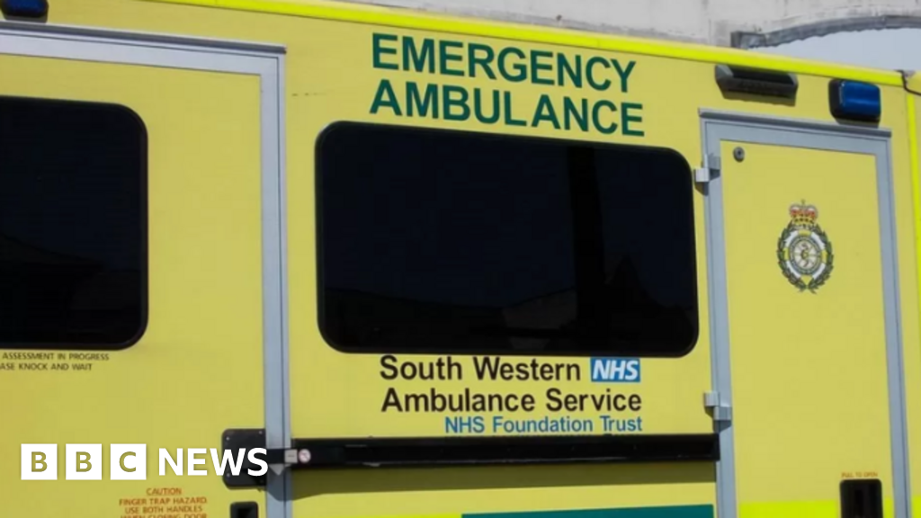 South Western Ambulance Trust appoints interim chief - BBC News