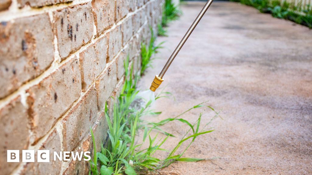 East Sussex County Council to continue using controversial weed killer ...