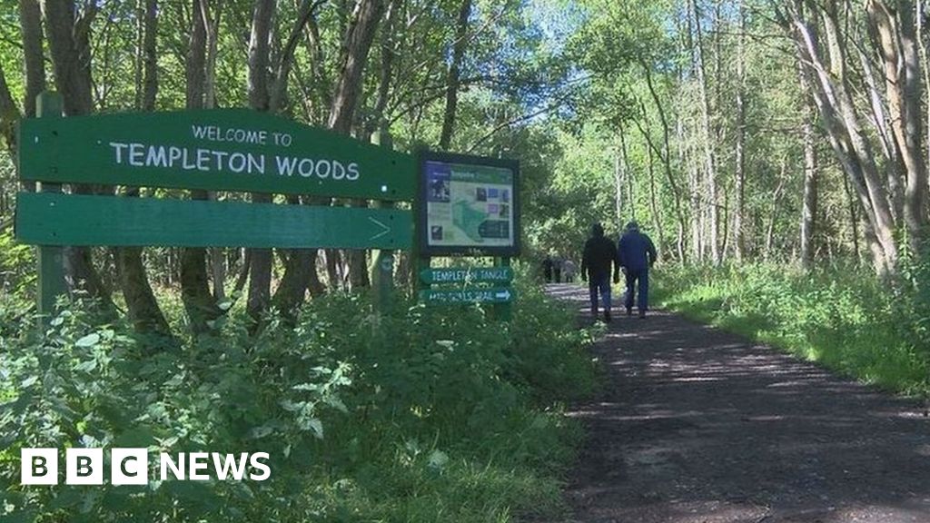 Man to stand trial over attempted murder in Dundee woods - BBC News