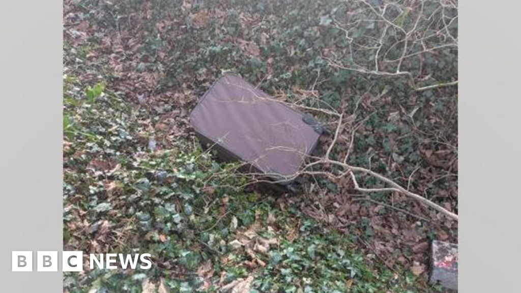 Dead dog found inside discarded suitcase in Guisborough