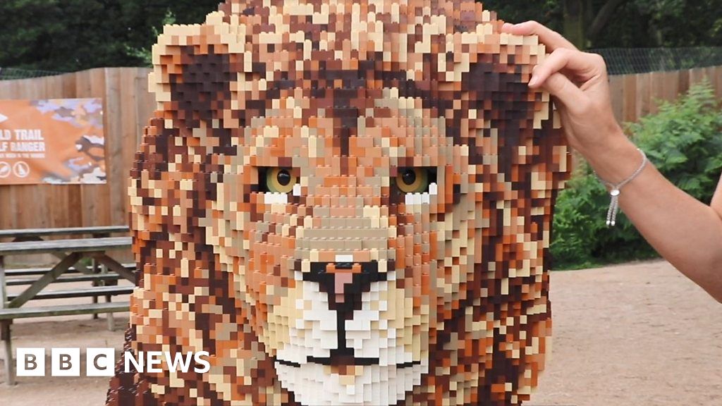 Lego life-size 'animals' on show at Knowsley Safari