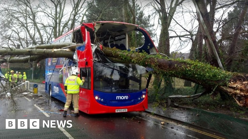 Tree smashes on to double-decker bus in Poole - BBC News