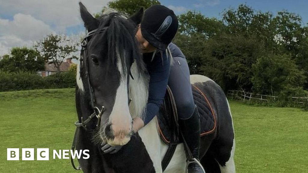 Blaby: 'Aggressive' dog tried to bite neck of horse on country lane ...