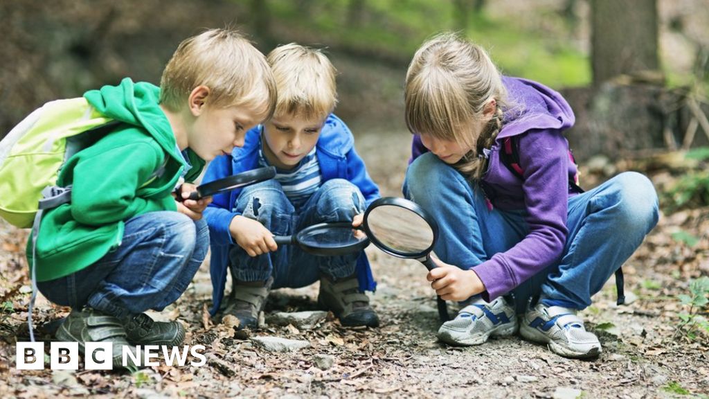 Covid: Outdoor education centres 'may not survive' - BBC News