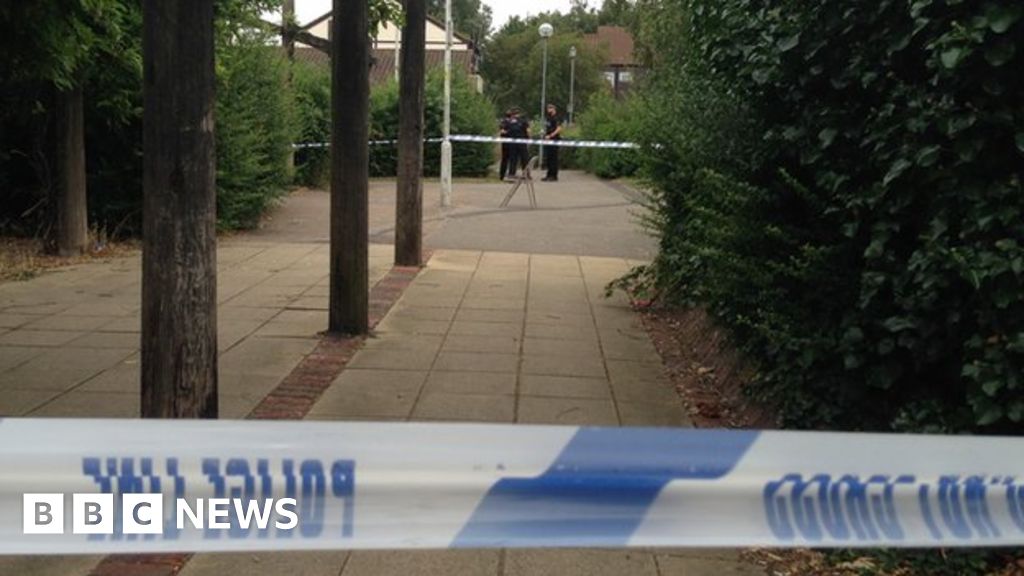 Pitsea stabbing: Three teenagers arrested - BBC News